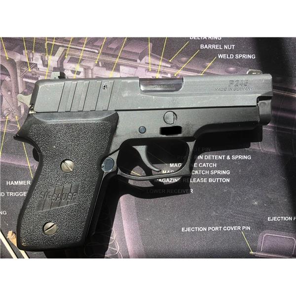 SIG SAUER P245 New and Used Price, Value, & Trends 2021