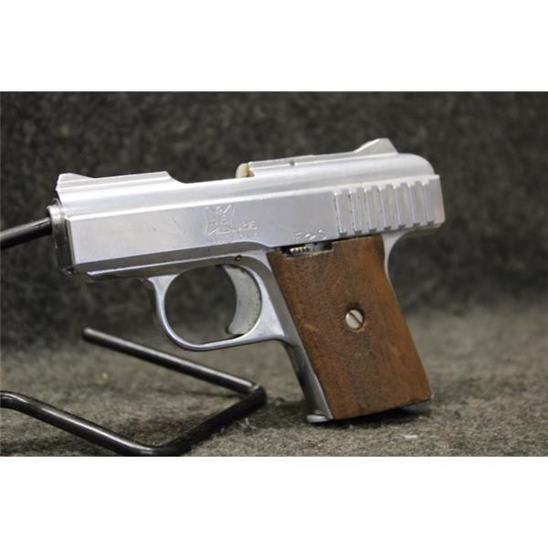 RAVEN ARMS P 25 New and Used Price, Value, & Trends 2021