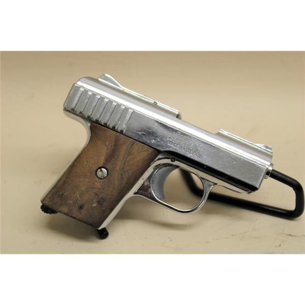 RAVEN ARMS P 25 New and Used Price, Value, & Trends 2022