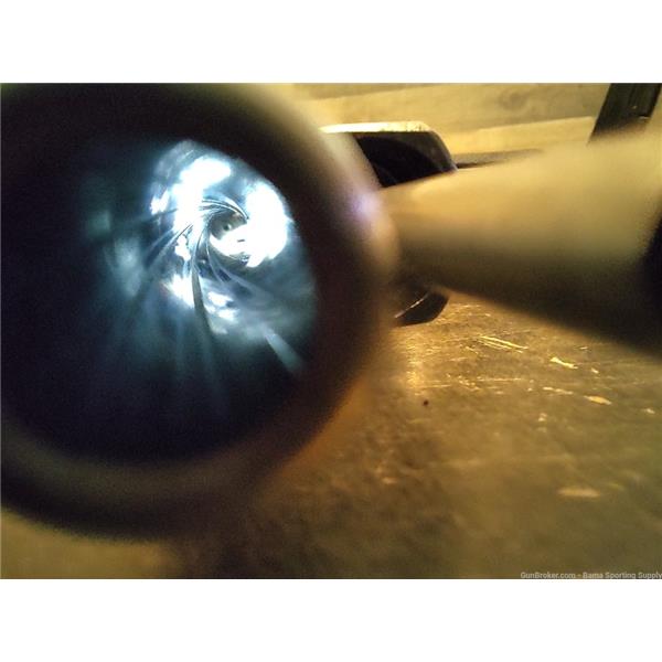 TZ 75 New and Used Price, Value, & Trends 2023