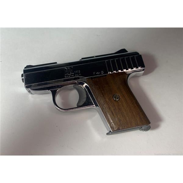 RAVEN ARMS P 25 New and Used Price, Value, & Trends 2023