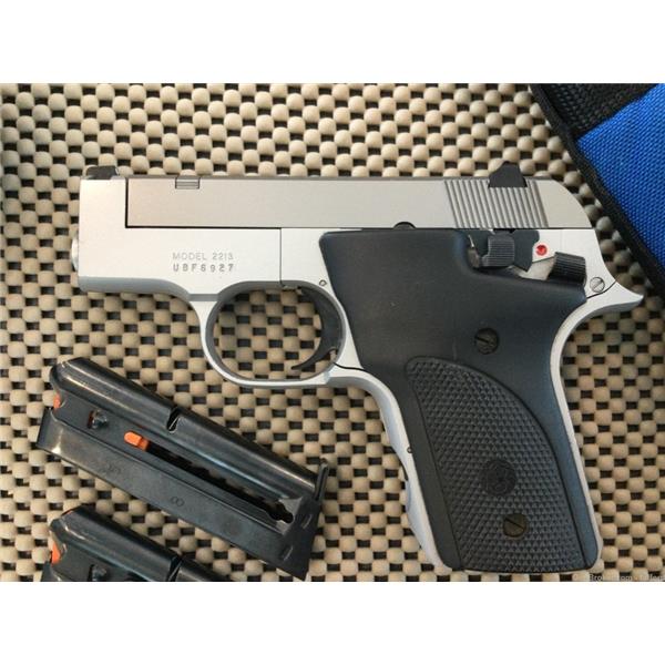 SMITH WESSON 2213 SPORTSMAN New and Used Price, Value, & Trends 2024