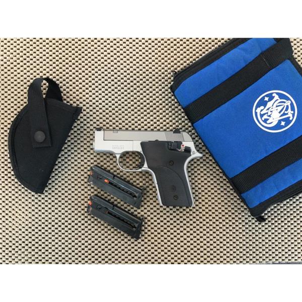 SMITH WESSON 2213 SPORTSMAN New and Used Price, Value, & Trends 2023