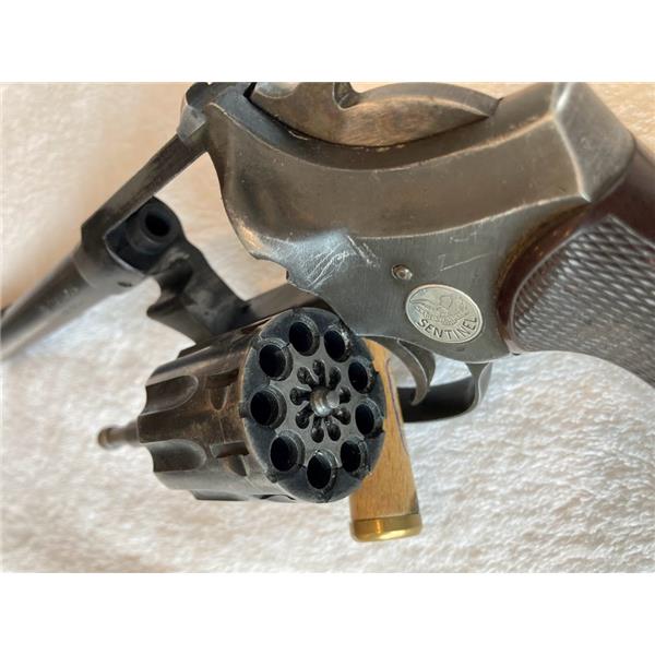 HIGH STANDARD SENTINEL R 100 New and Used Price, Value, & Trends 2023