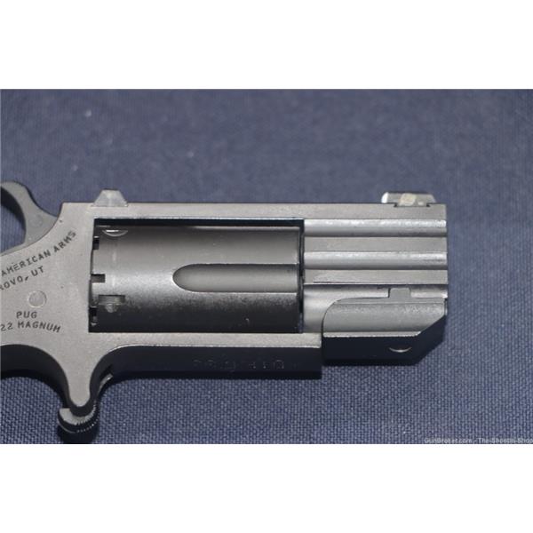 NAA 22LR New and Used Price, Value, & Trends 2023