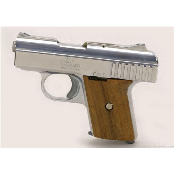 RAVEN ARMS P 25 New and Used Price, Value, & Trends 2024