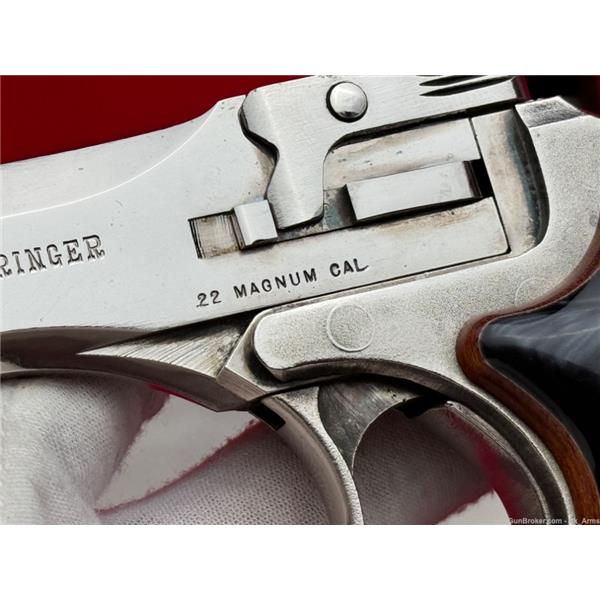 HIGH STANDARD 22 DERRINGER New and Used Price, Value, & Trends 2025