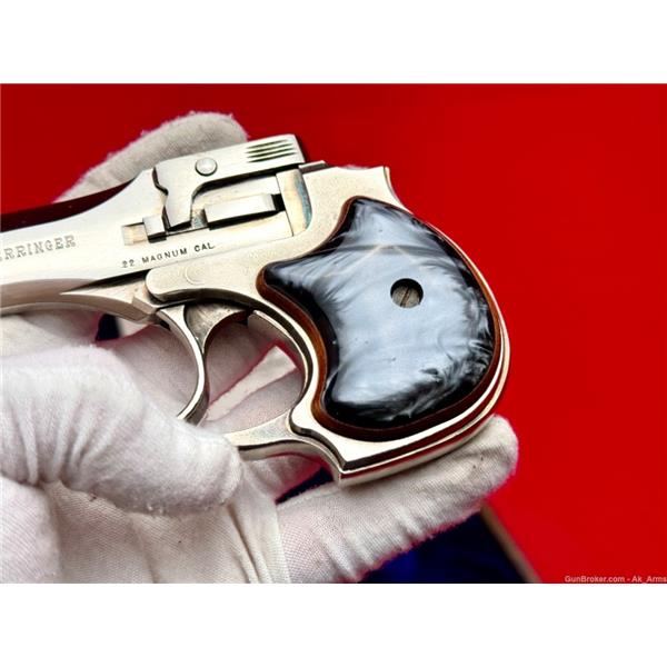 HIGH STANDARD 22 DERRINGER New and Used Price, Value, & Trends 2025