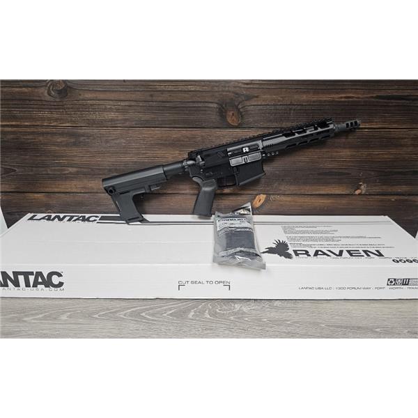 RAVEN New and Used Price, Value, & Trends 2025