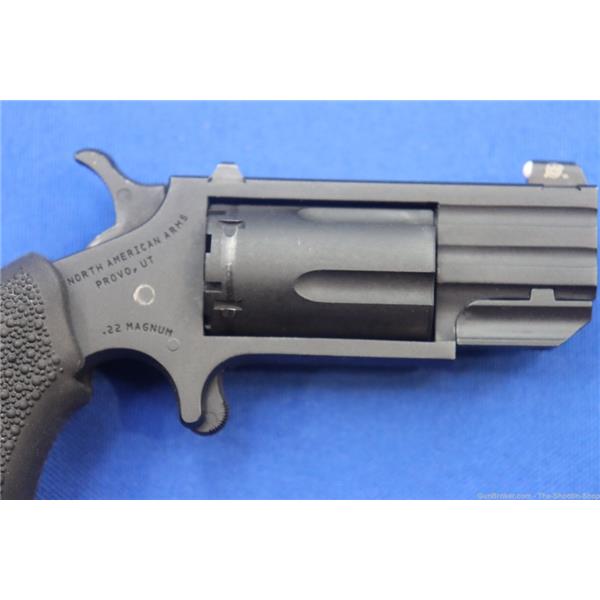 NAA 22LR New and Used Price, Value, & Trends 2024