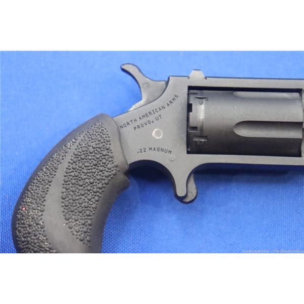 NAA 22LR New and Used Price, Value, & Trends 2024