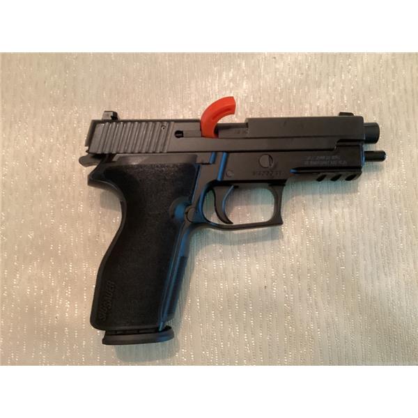 P227 New and Used Price, Value, & Trends 2025