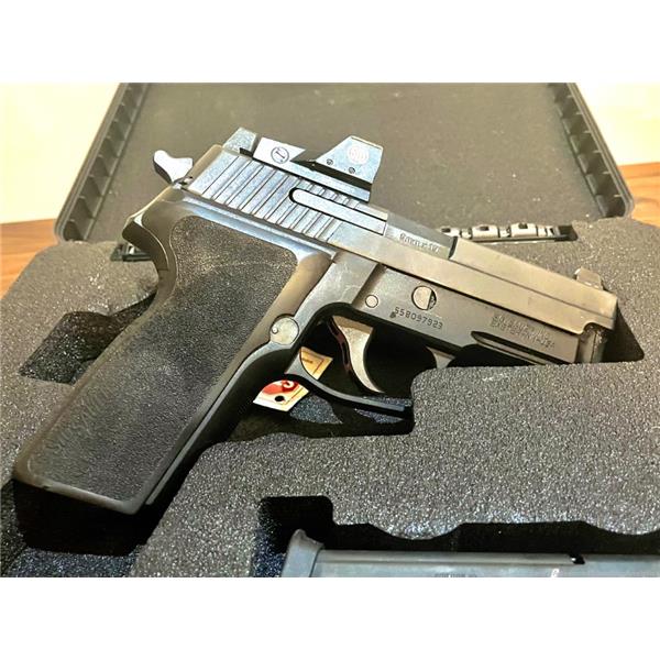 SIG SAUER P229 New and Used Price, Value, & Trends 2024