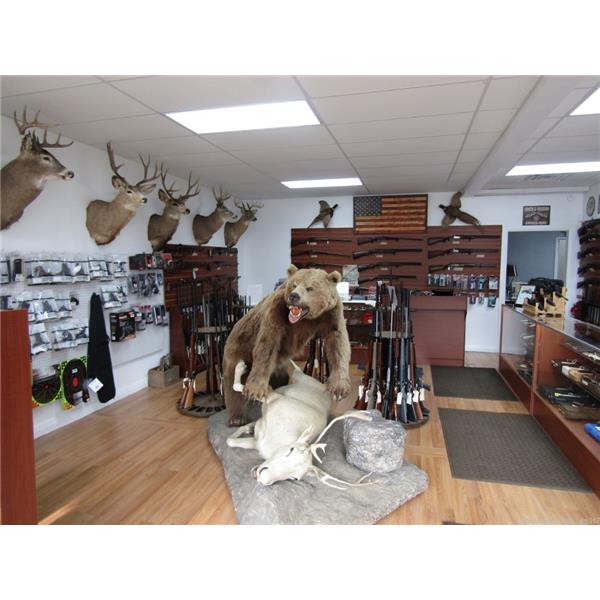 ROSSI New and Used Price, Value, & Trends 2024