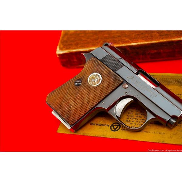 COLT 25 AUTO New and Used Price, Value, & Trends 2024