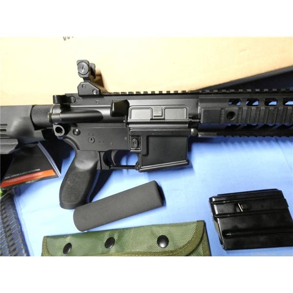 SIG SAUER P556 New and Used Price, Value, & Trends 2025