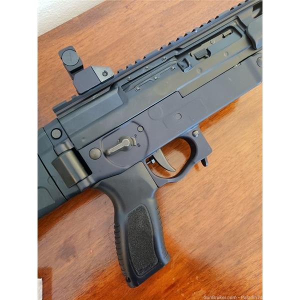 SIG SAUER 556XI New and Used Price, Value, & Trends 2024