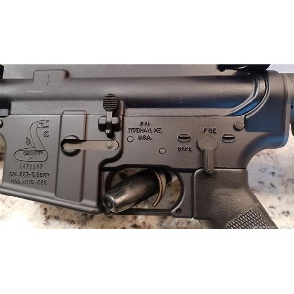 BUSHMASTER E2S New and Used Price, Value, & Trends 2024