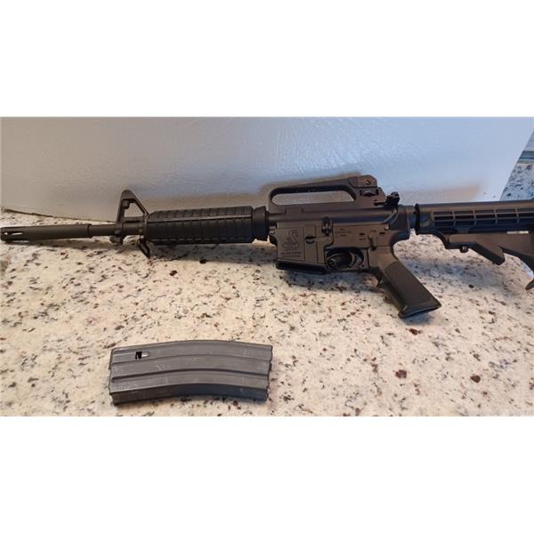 BUSHMASTER E2S New and Used Price, Value, & Trends 2024