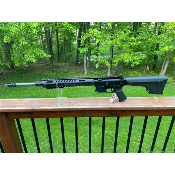 DPMS New and Used Price, Value, & Trends 2023