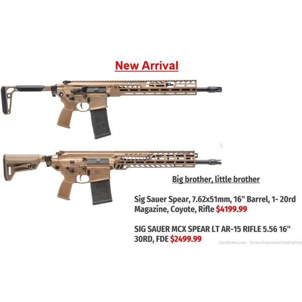 PSA PA 10 New and Used Price, Value, & Trends 2024