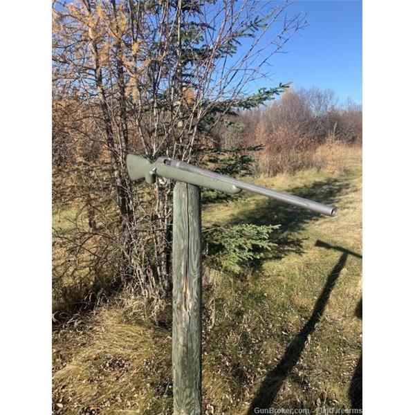 REMINGTON 700 TITANIUM New and Used Price, Value, & Trends 2024