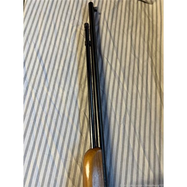 SPORT KING New and Used Price, Value, & Trends 2024