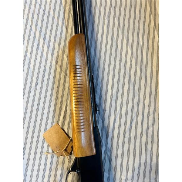 SPORT KING New and Used Price, Value, & Trends 2024