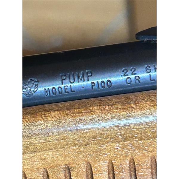 SPORT KING New and Used Price, Value, & Trends 2024