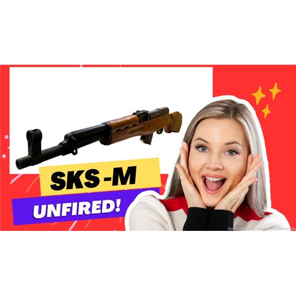 SKS New and Used Price, Value, & Trends 2024