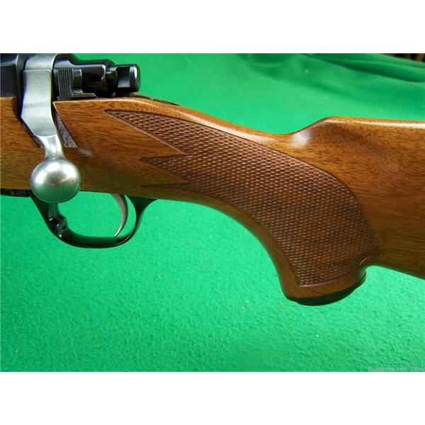 204 RUGER New and Used Price, Value, & Trends 2024