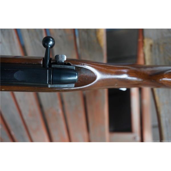 591 New and Used Price, Value, & Trends 2024