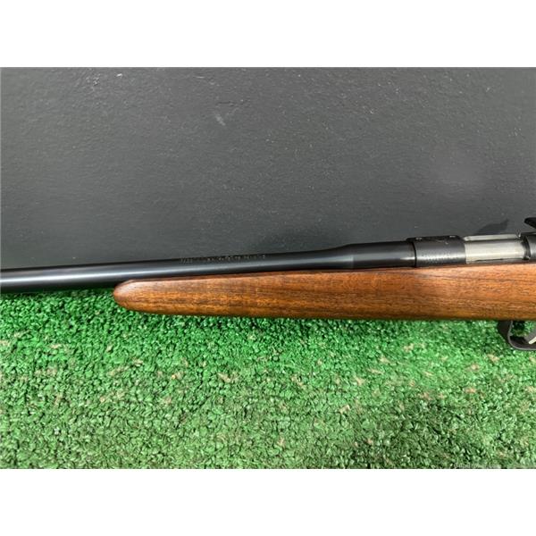 CHIPMUNK New and Used Price, Value, & Trends 2024