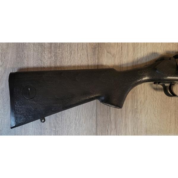 DAISY New and Used Price, Value, & Trends 2024