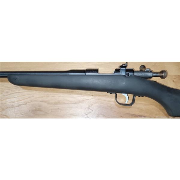 CHIPMUNK New and Used Price, Value, & Trends 2024