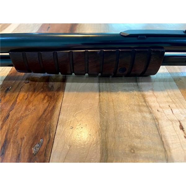 TIMBER WOLF New and Used Price, Value, & Trends 2025