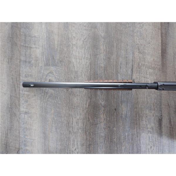 TIMBER WOLF New and Used Price, Value, & Trends 2025