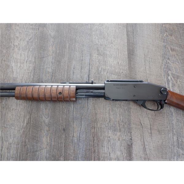 TIMBER WOLF New and Used Price, Value, & Trends 2025