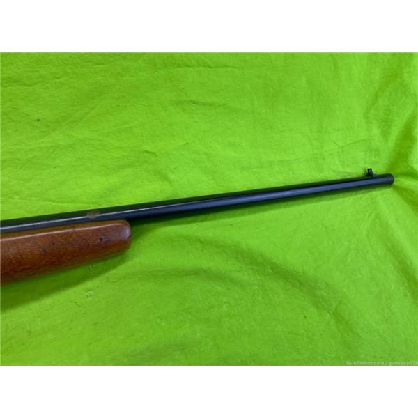 REVELATION New and Used Price, Value, & Trends 2024