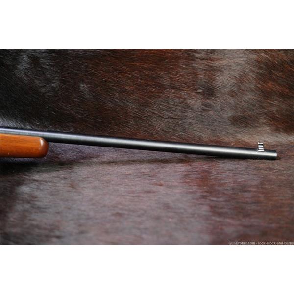 581 New and Used Price, Value, & Trends 2024