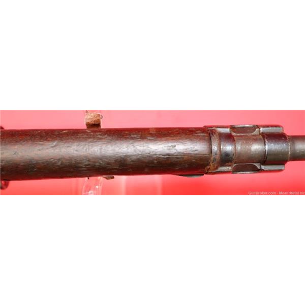 VZ 24 New and Used Price, Value, & Trends 2024