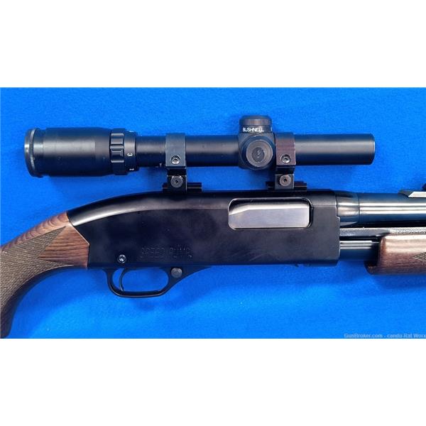 WINCHESTER 1300 New and Used Price, Value, & Trends 2025