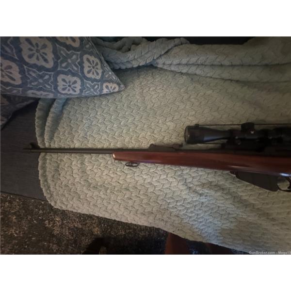 303 New and Used Price, Value, & Trends 2025