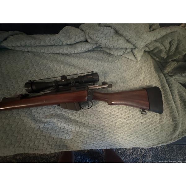 303 New and Used Price, Value, & Trends 2025