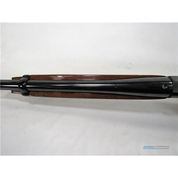 257 ROBERTS New and Used Price, Value, & Trends 2022