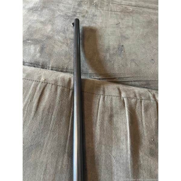 PAGE LEWIS New and Used Price, Value, & Trends 2023