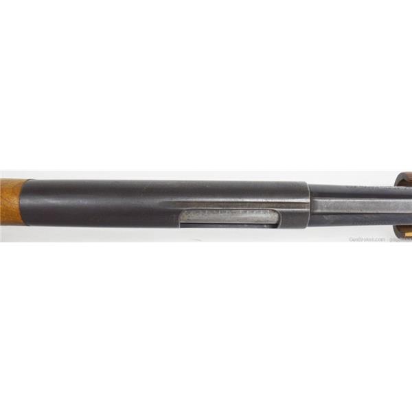 REVELATION New and Used Price, Value, & Trends 2024