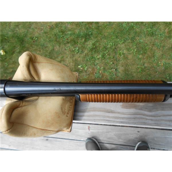 67F New and Used Price, Value, & Trends 2023