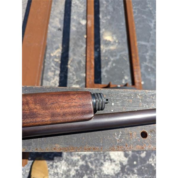 745 New and Used Price, Value, & Trends 2025