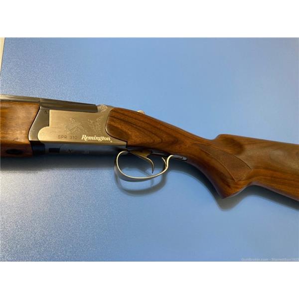 310 New and Used Price, Value, & Trends 2025